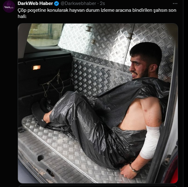 sen ozgur filistin bayragi acarsan - inci sözlük sen ozgur filistin bayragi acarsan - inci sözlük